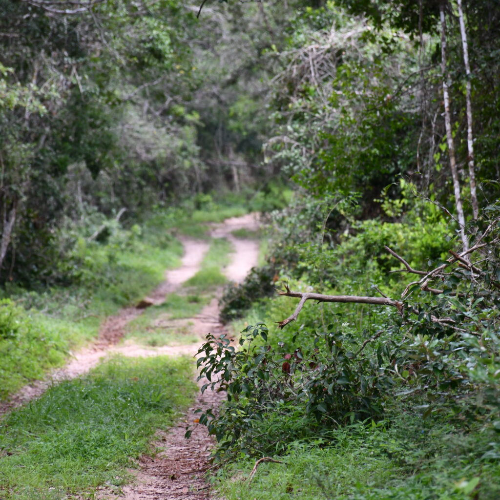 9 Best Places To Visit In Nyamira County & Fun Things To Do